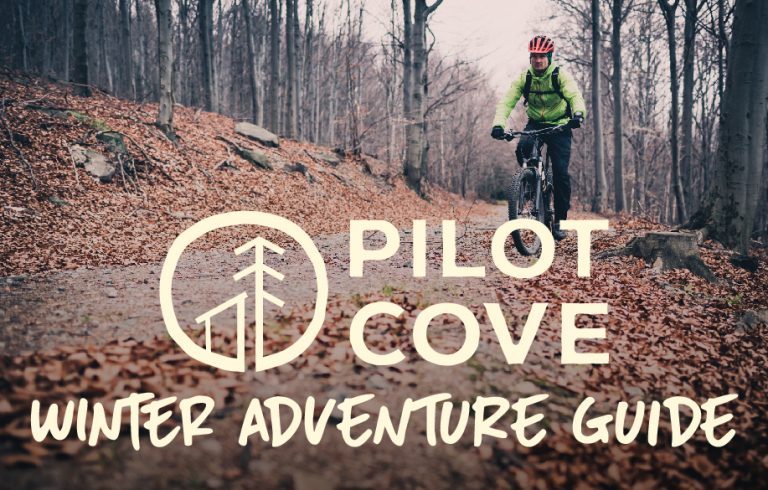 Fly Fishing | Fishing Trips | Pilot Cove | Pisgah Forest, NC